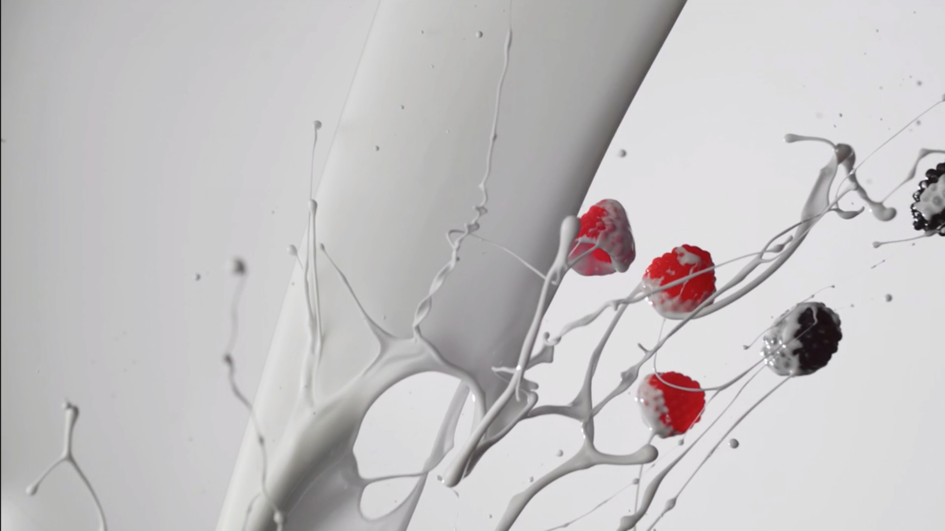 FILM EROTIC PROXIMITY – Gao Chang Art